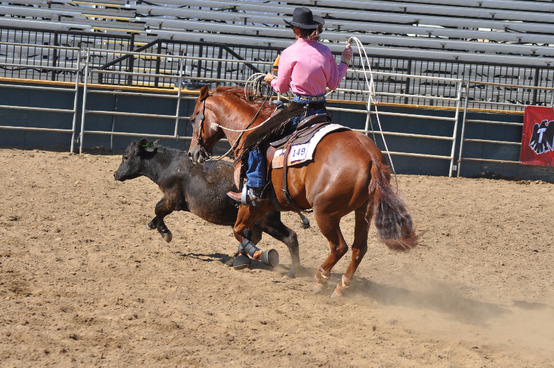 Ranch Horse Versatility at CA State Fair - SacHorse.com