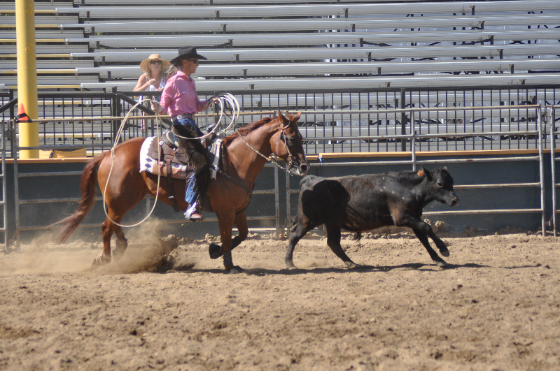 Ranch Horse Versatility at CA State Fair - SacHorse.com