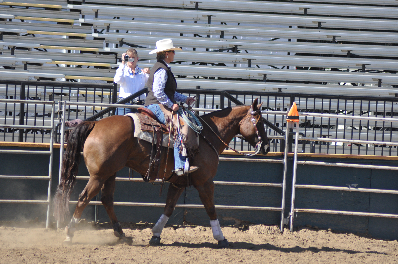 Ranch Horse Versatility at CA State Fair - SacHorse.com
