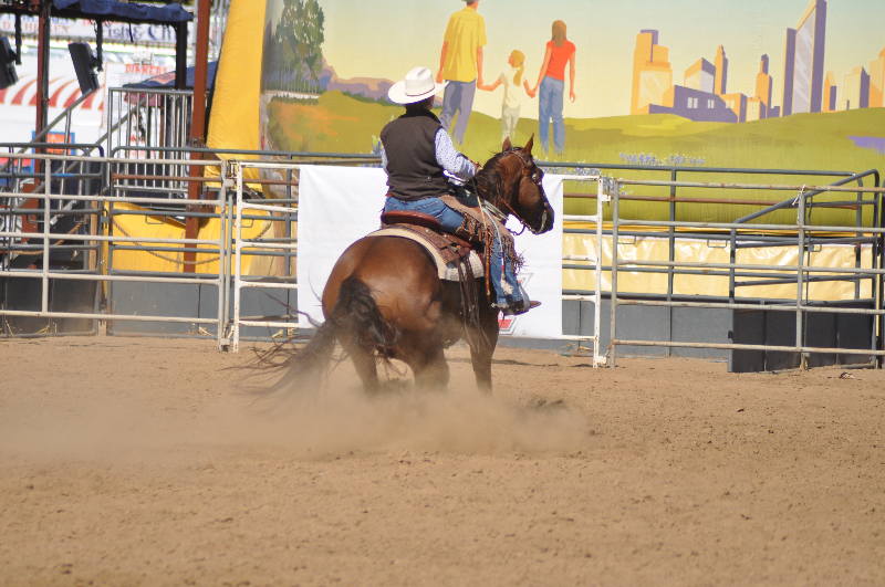 Ranch Horse Versatility at CA State Fair - SacHorse.com