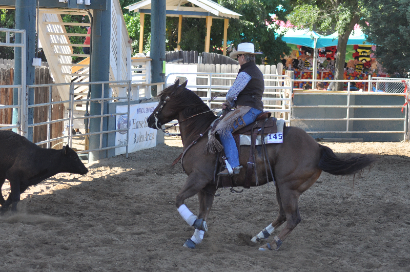 Ranch Horse Versatility at CA State Fair - SacHorse.com