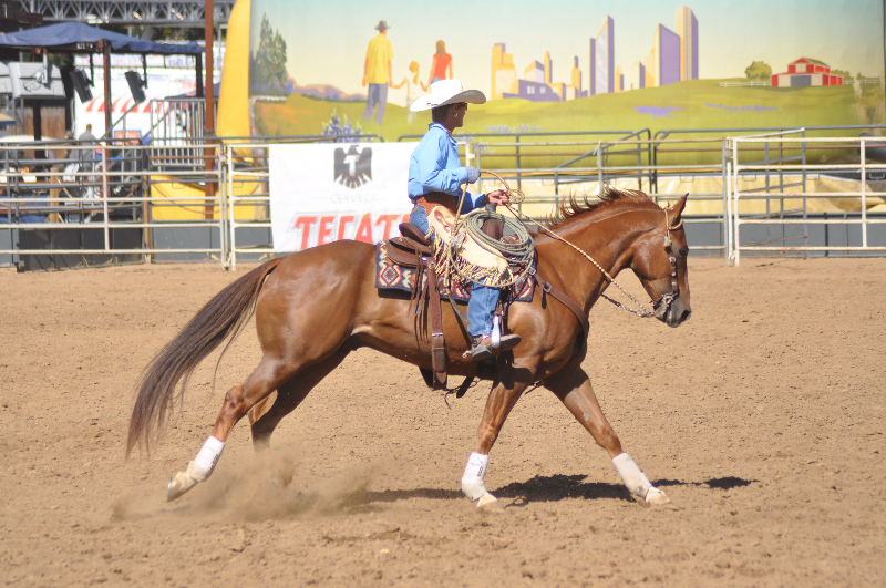 Ranch Horse Versatility at CA State Fair - SacHorse.com