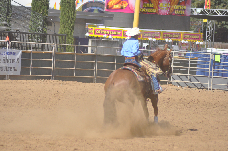 Ranch Horse Versatility at CA State Fair - SacHorse.com