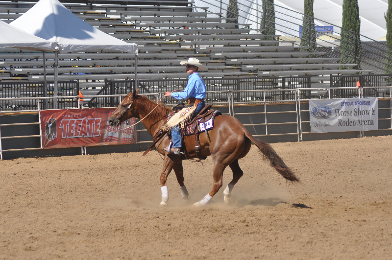 Ranch Horse Versatility at CA State Fair - SacHorse.com