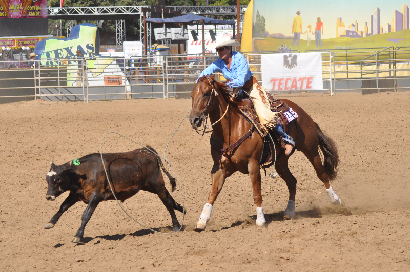 Ranch Horse Versatility at CA State Fair - SacHorse.com