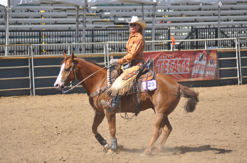 Ranch Horse Versatility at CA State Fair - SacHorse.com