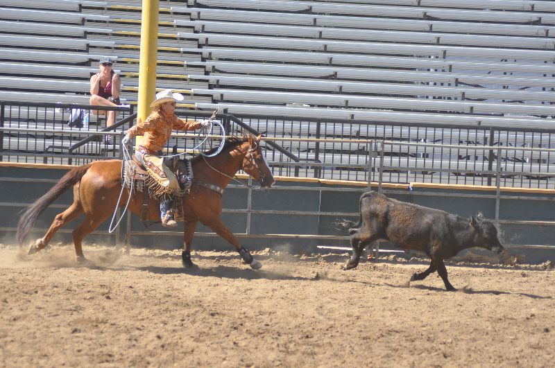Ranch Horse Versatility at CA State Fair - SacHorse.com