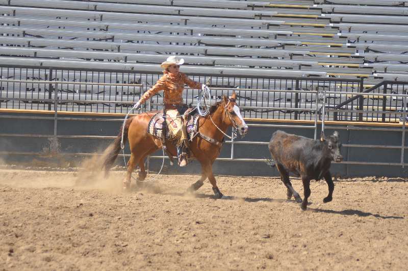 Ranch Horse Versatility at CA State Fair - SacHorse.com