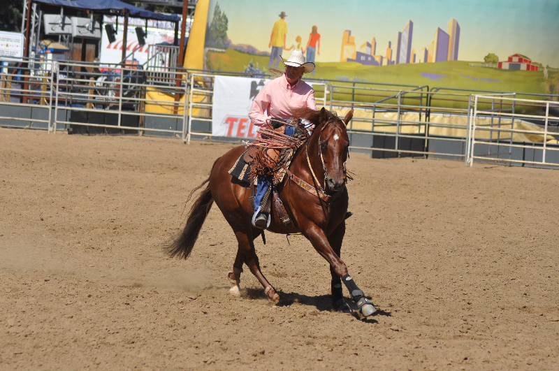 Ranch Horse Versatility at CA State Fair - SacHorse.com