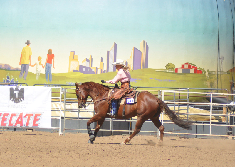 Ranch Horse Versatility at CA State Fair - SacHorse.com