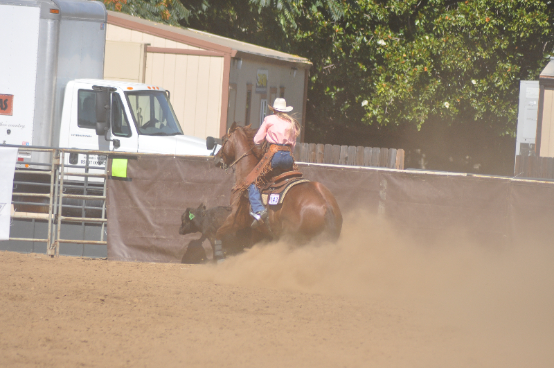 Ranch Horse Versatility at CA State Fair - SacHorse.com