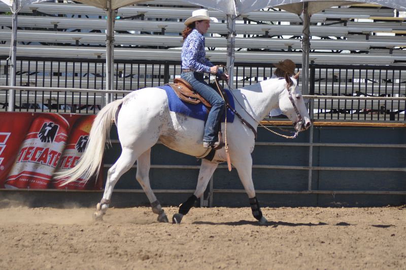 Ranch Horse Versatility at CA State Fair - SacHorse.com