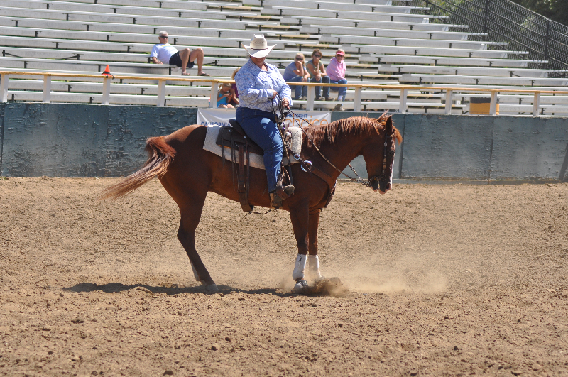 Ranch Horse Versatility at CA State Fair