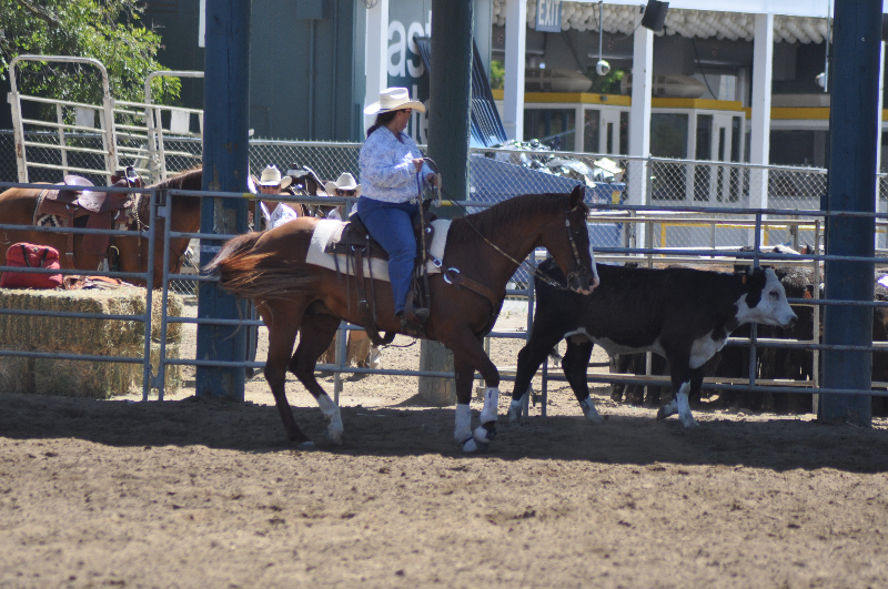 Ranch Horse Versatility at CA State Fair