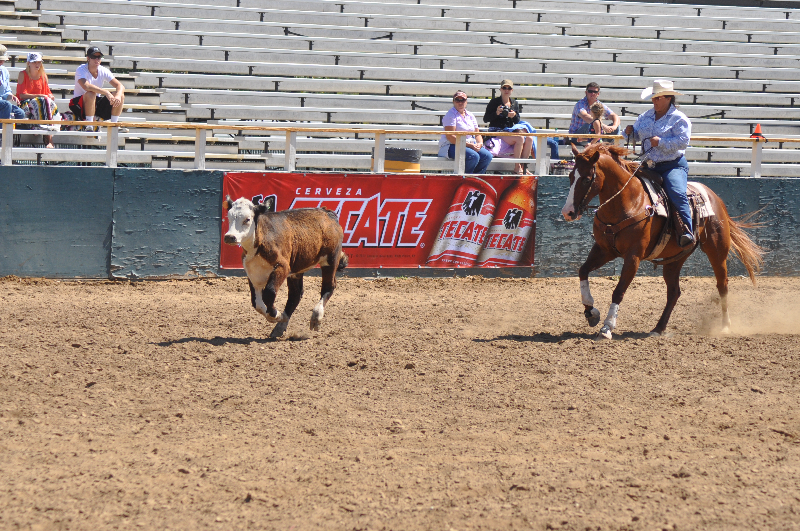Ranch Horse Versatility at CA State Fair