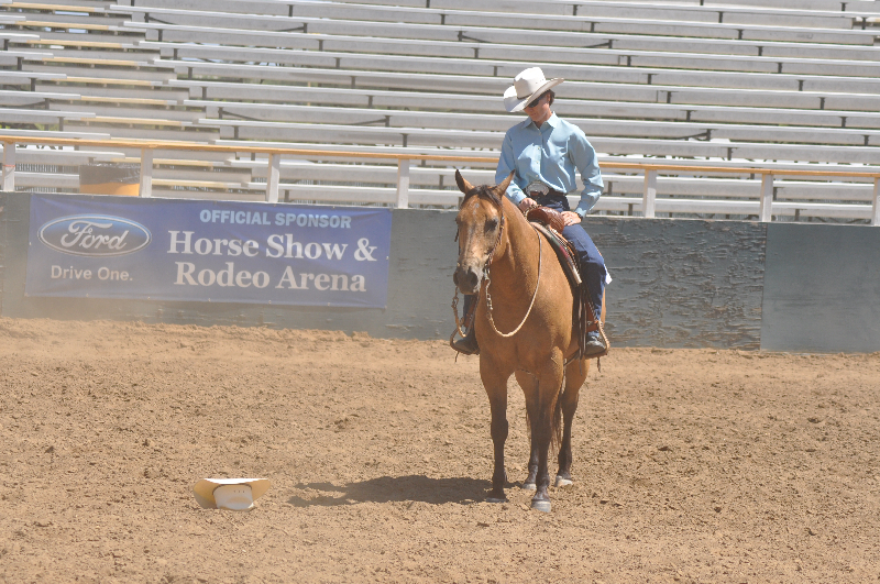 Ranch Horse Versatility at CA State Fair