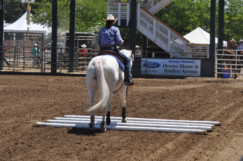 Ranch Horse Versatility at CA State Fair