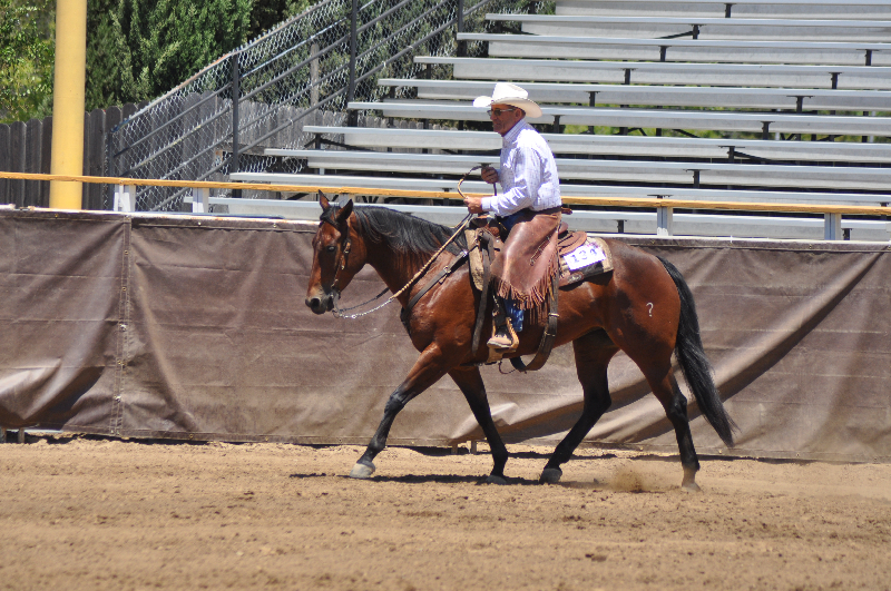Ranch Horse Versatility at CA State Fair