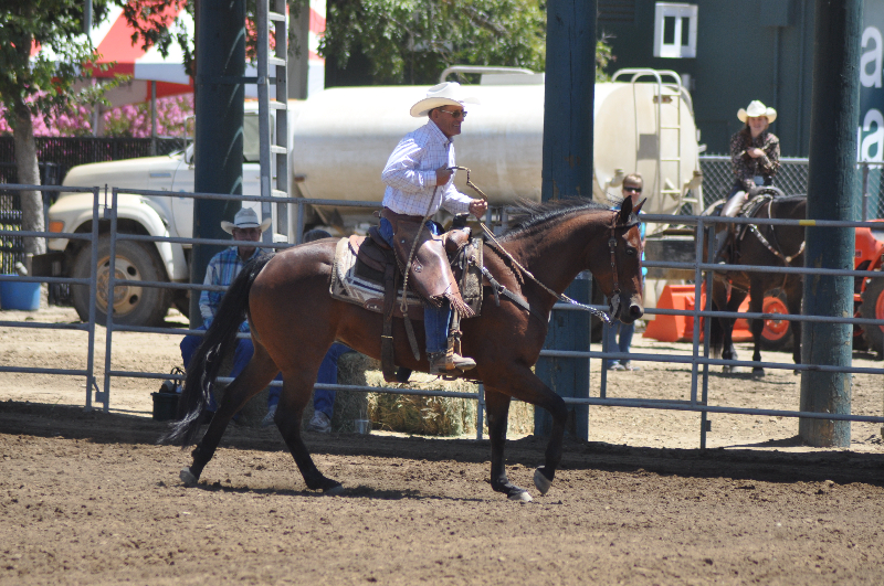 Ranch Horse Versatility at CA State Fair