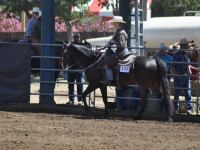 Ranch Horse Versatility at CA State Fair