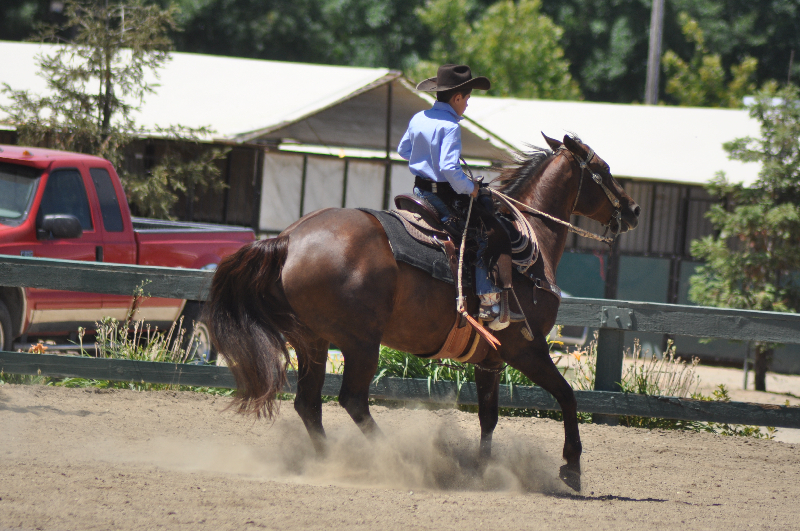 ranch horse Archives - SacHorse.com